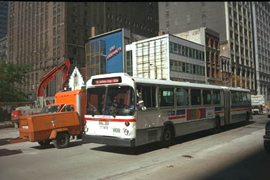 CTA BUS PHOTOS